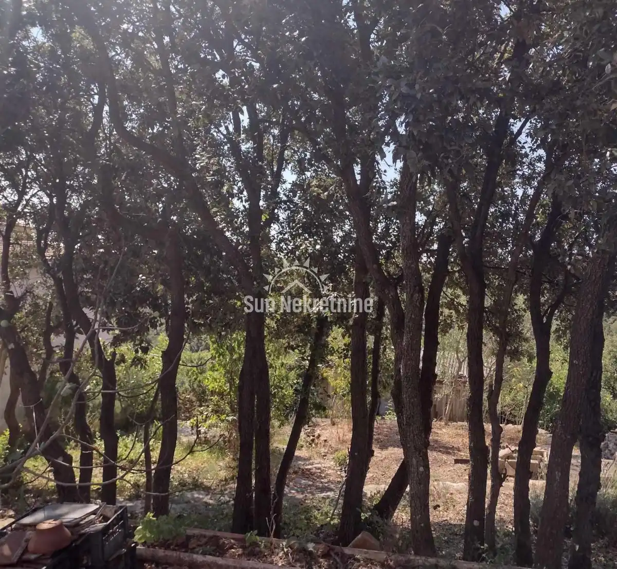 MARČANA, KAVRAN, ISTRA, KUĆA SA POGLEDOM NA MORE - Sun Nekretnine